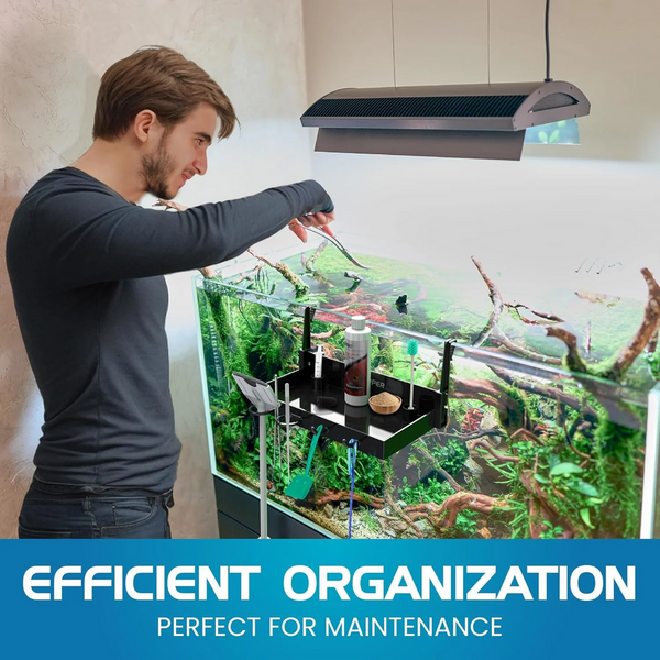 Flipper Tank Buddy | Aqua Empire